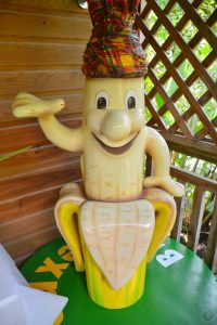 Tout savoir sur la banane de Guadeloupe et Martinique – Par amour des ...